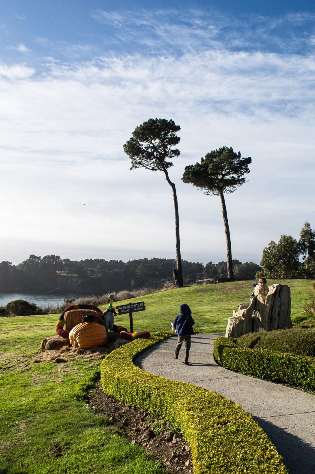 What to Do in Northern California in November