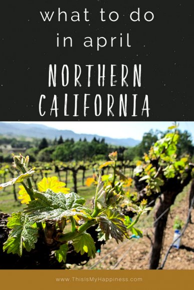 What to Do in Northern California in April: 10 Fun Ideas!