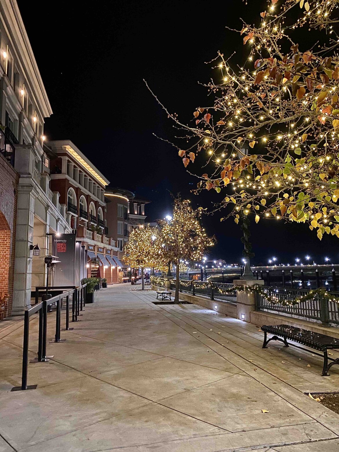 What to do in Northern California in December