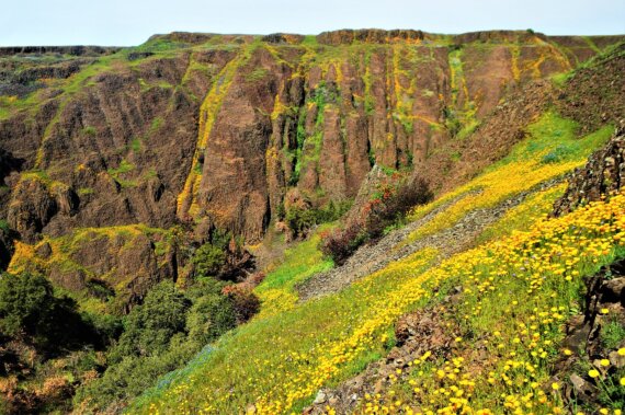 North Table Mountain Ecological Reserve: Stunning wildflower hike